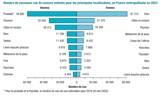 Qu'est-ce qu'un cancer et quels sont les traitements possibles